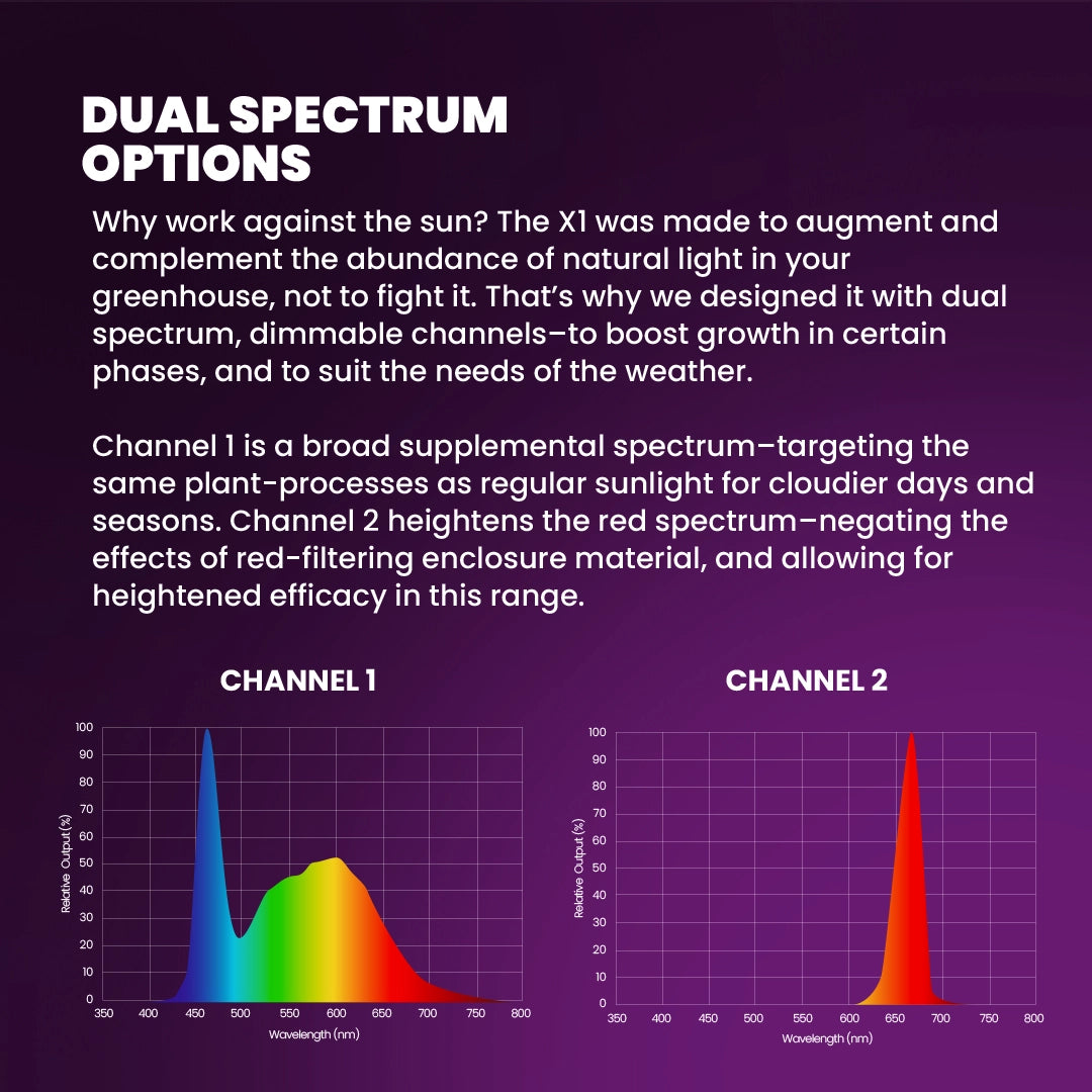 Greenhouse Grow Lights: Boost Your Plant Growth