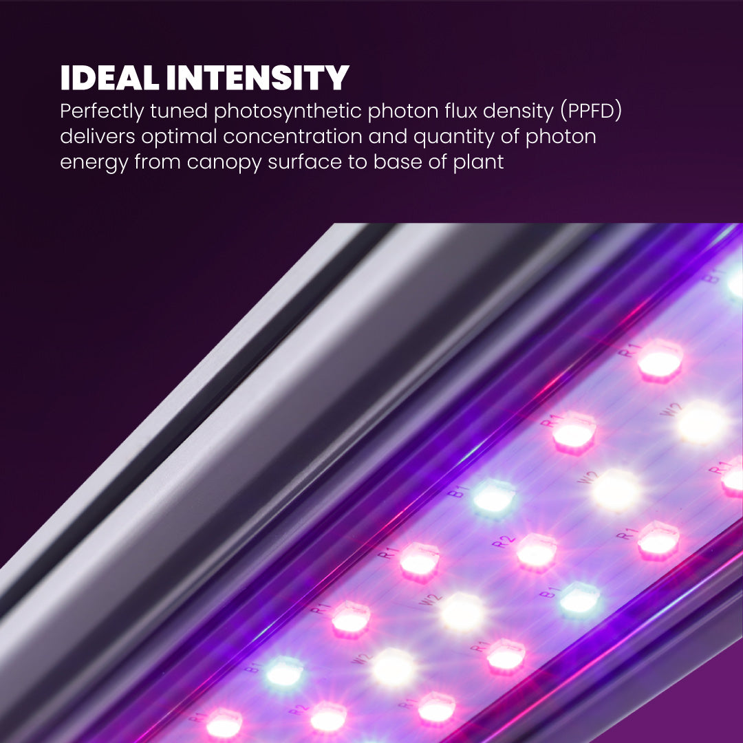 LED Grow Light Bar - Superior Quality for Exceptional Plant Growth