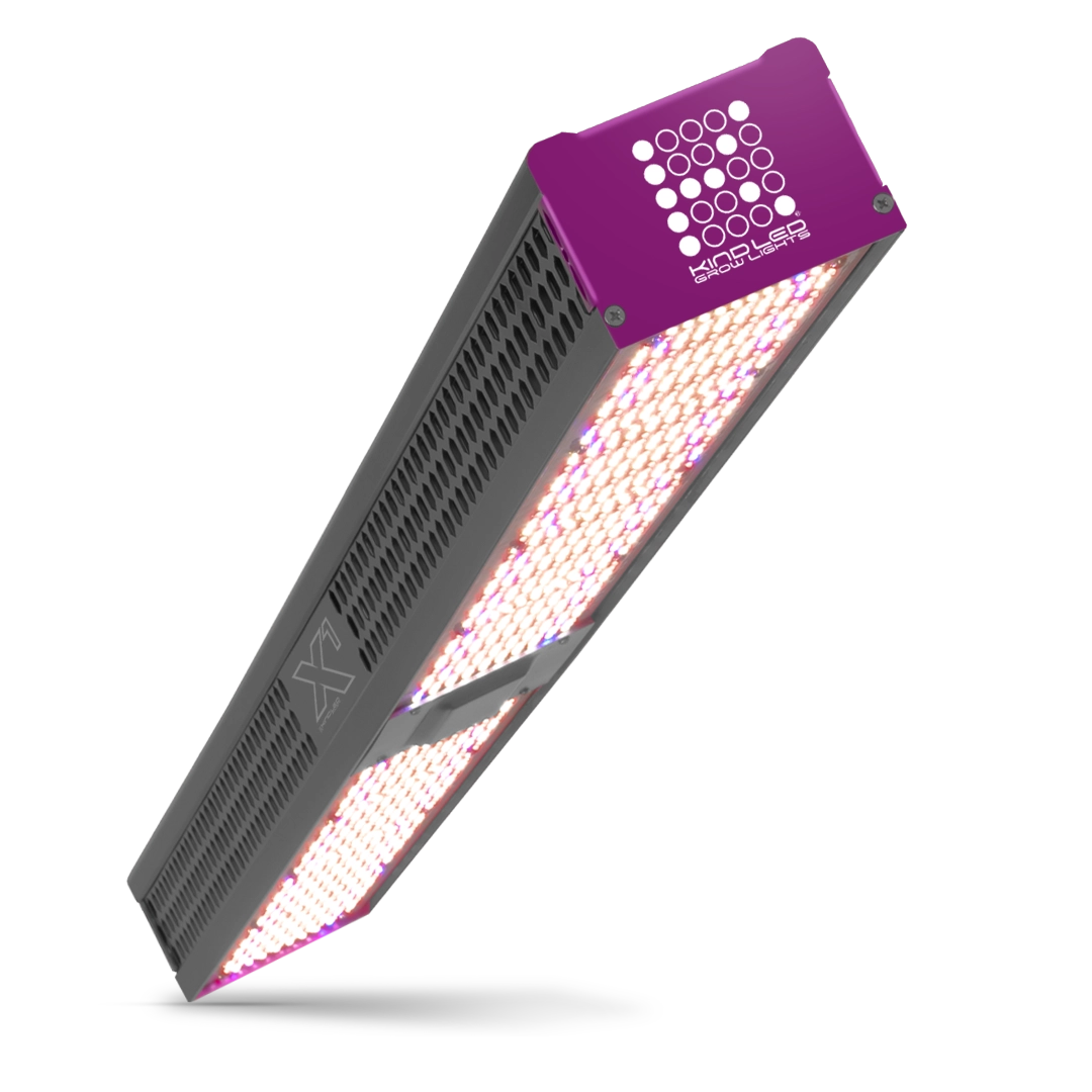 Greenhouse Grow Lights: Boost Your Plant Growth